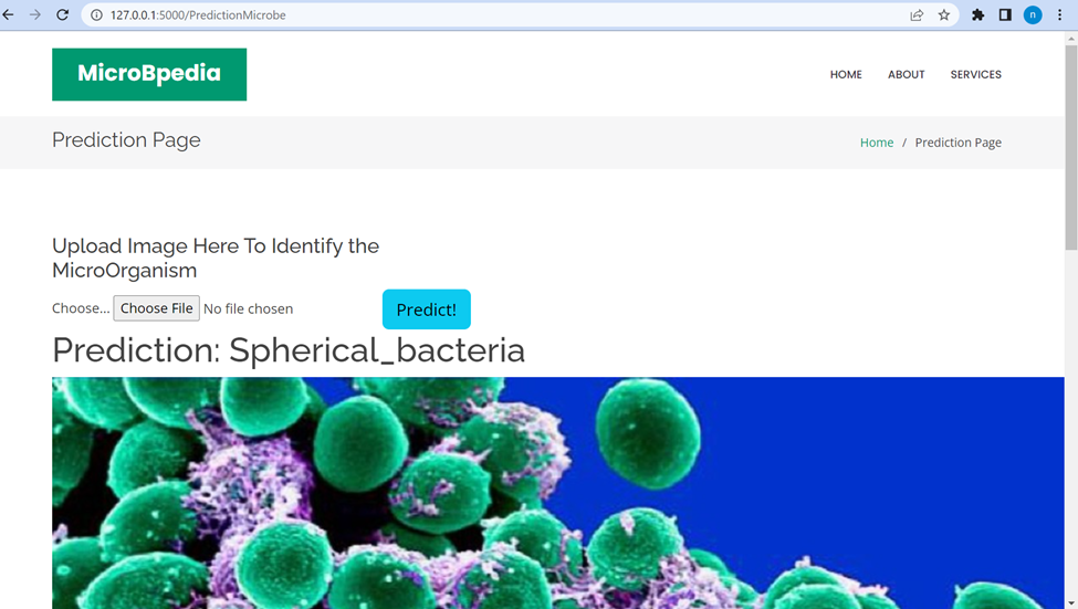 GitHub - nmishra90/Micro-Organism_Classification_CNN--FlaskIntegration