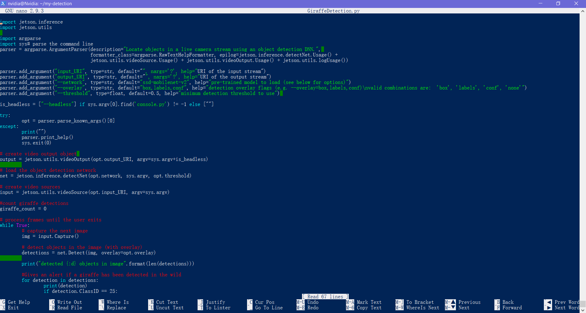 GitHub - Goldleaves/Giraffe-Detections