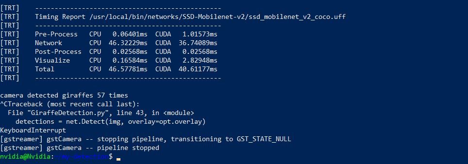 GitHub - Goldleaves/Giraffe-Detections