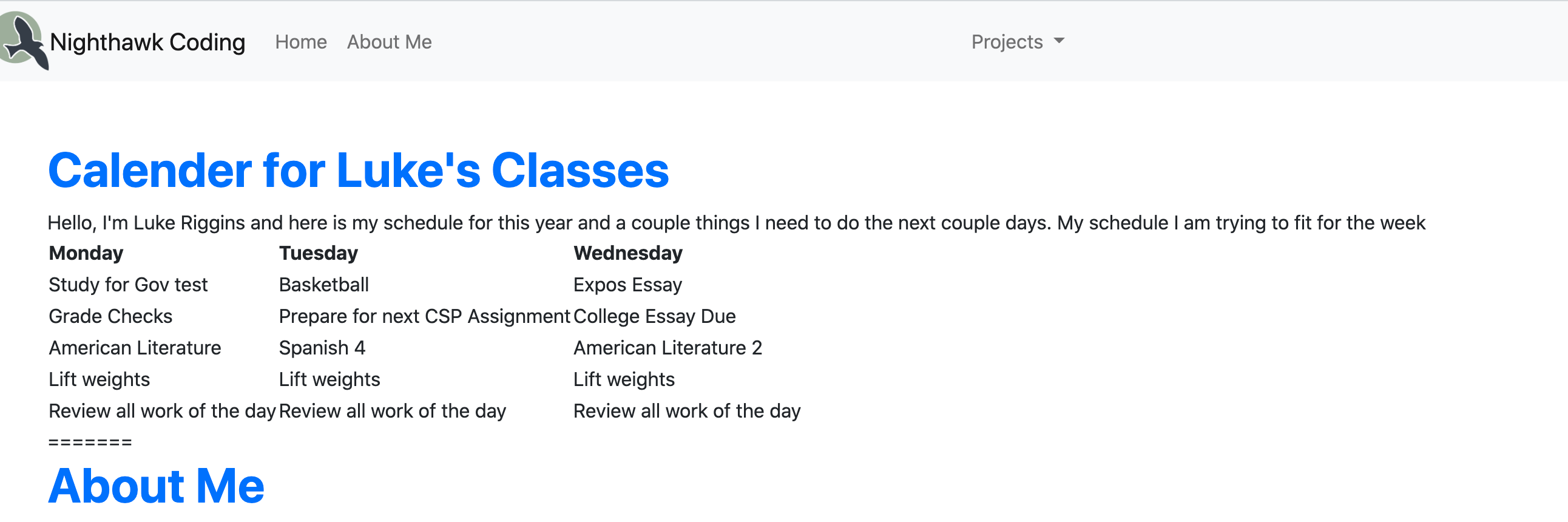 Week 5 Review Ticket · Issue #5 · Rigtig123/Rigs-2-Ds-Blog · GitHub