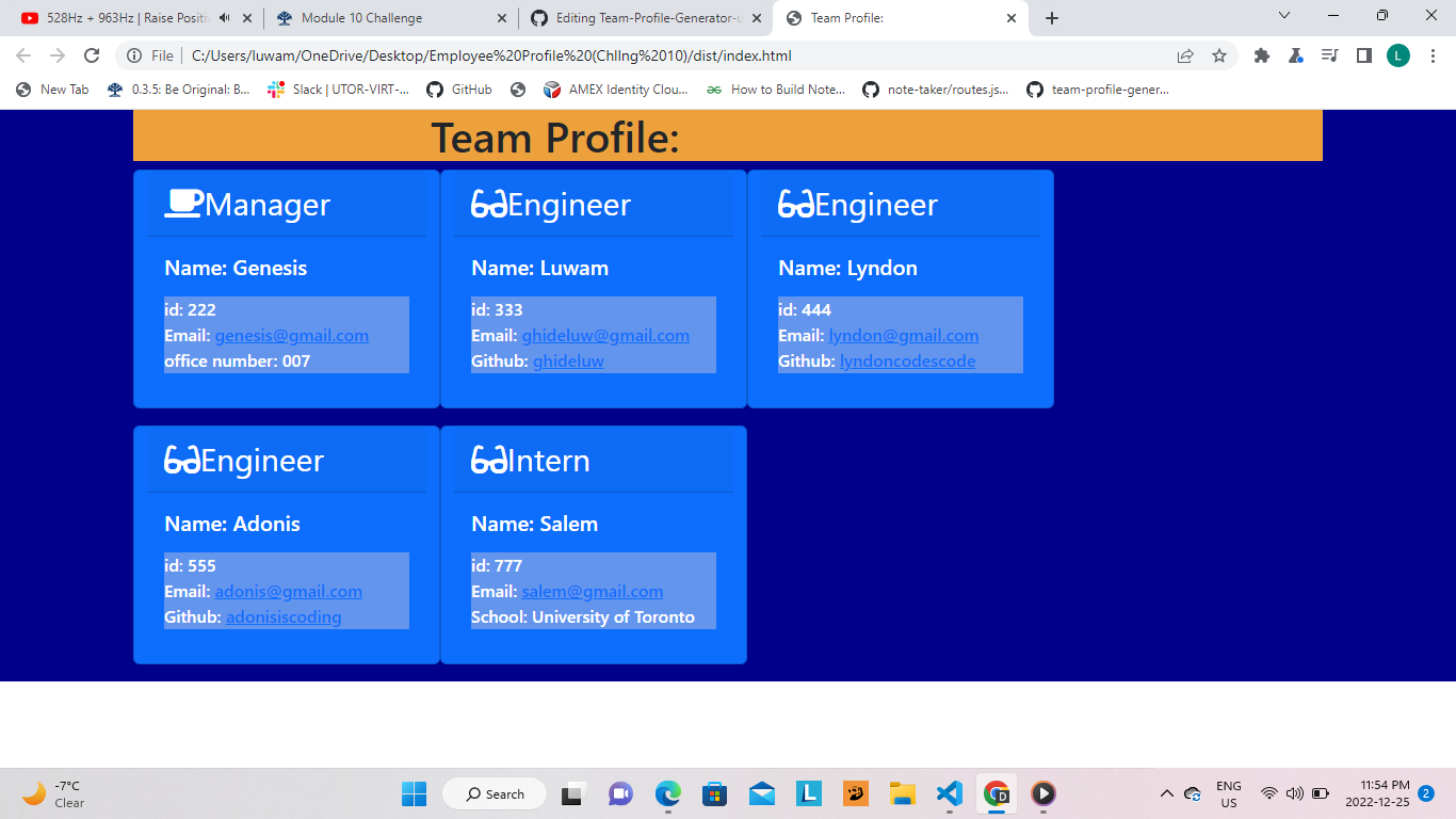 GitHub - ghideluw/Team-Profile-Generator-using-node-js