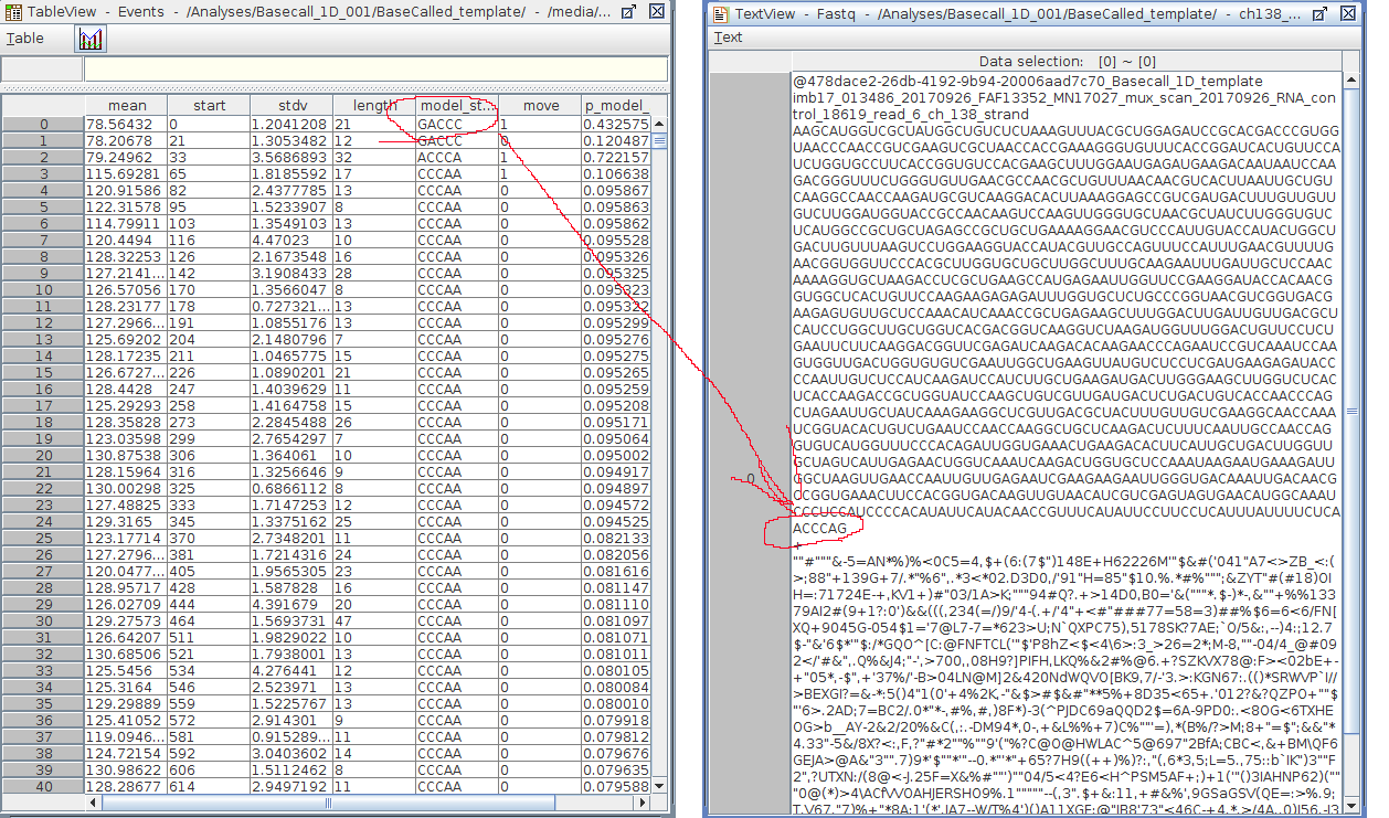 RNA signal is reversed compared to fastq output · Issue #9 · nanoporetech/tombo · GitHub
