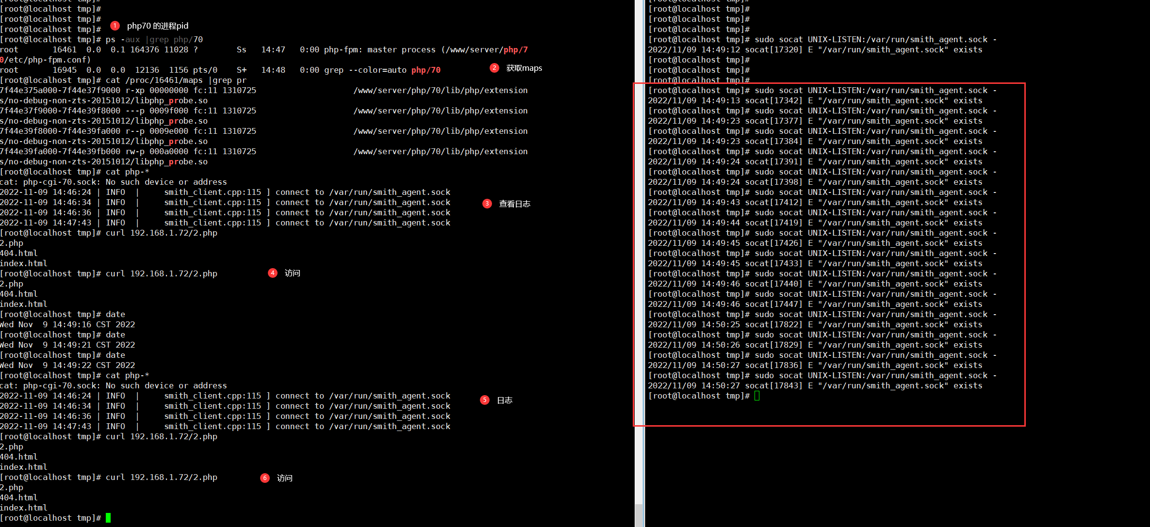 Elkeid/rasp/php/ 编译失败 · Issue #343 · bytedance/Elkeid · GitHub