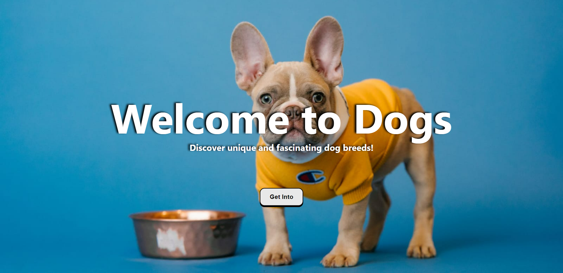 GitHub - Alex-Amenta/breeds-pi: Individual project consuming the breeds API, an application made ...