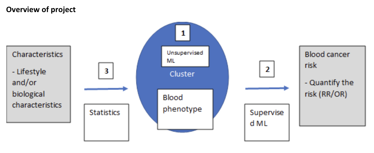GitHub - Haileygu99/Blood-cancer-risk-and-prediction