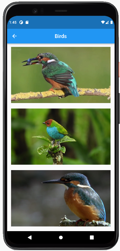 GitHub - ParthShiyani/video_player-