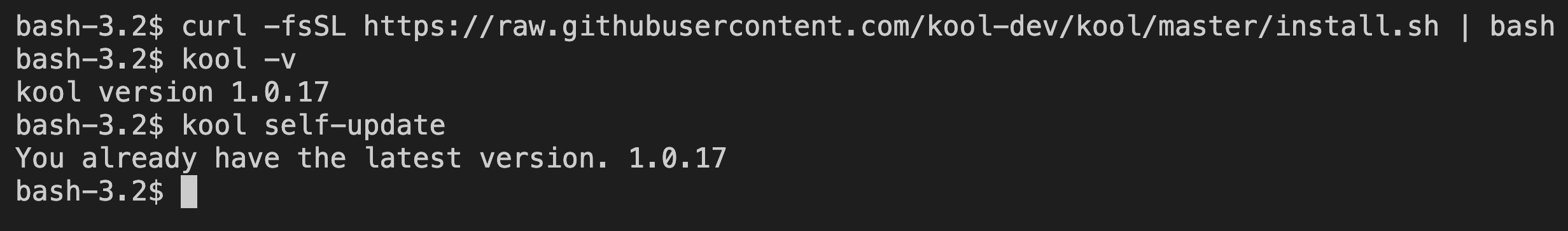 Proposal: kool self-update · Issue #2 · kool-dev/kool · GitHub