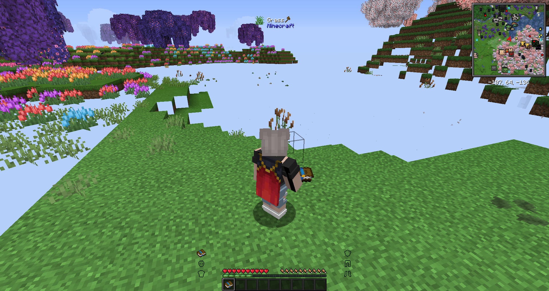 display bug Better Minecraft FORGE 1.16.5 · Issue #656 ...