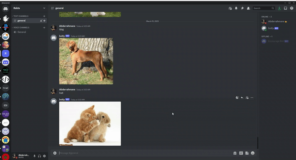 GitHub - AbderrahmaneLahrichi/DIscord-Bot