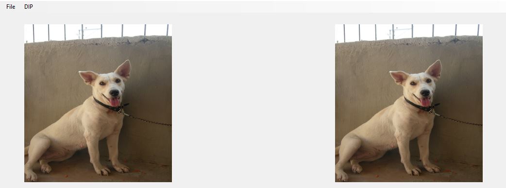 GitHub - AlysCarillo/DigitalImageProcessingApp