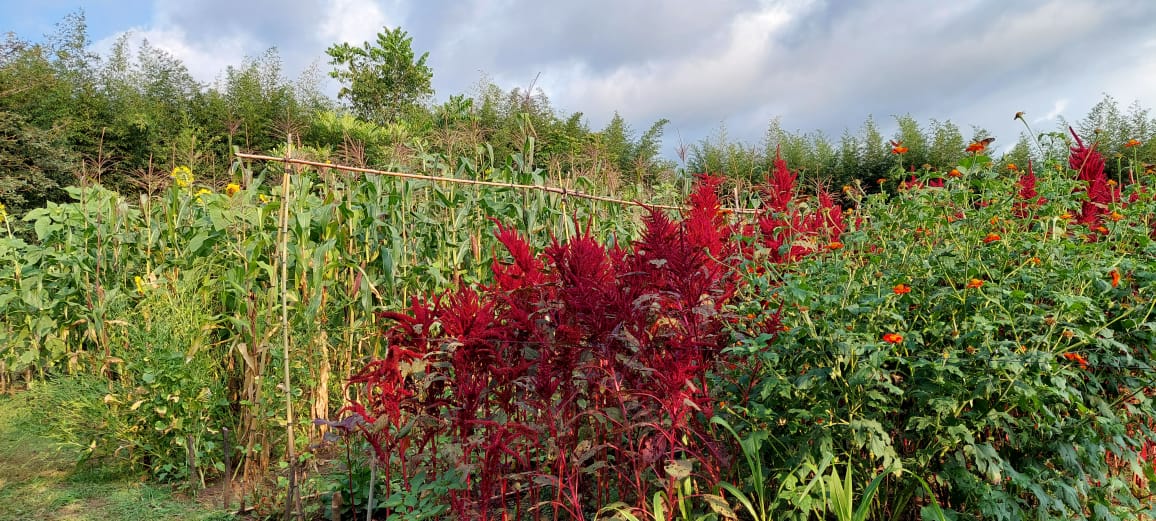 GitHub - ligiaazul/2022-ii-tutorial-git-repo-ejemplo: PF0953 Programación en R. 2022-II ...