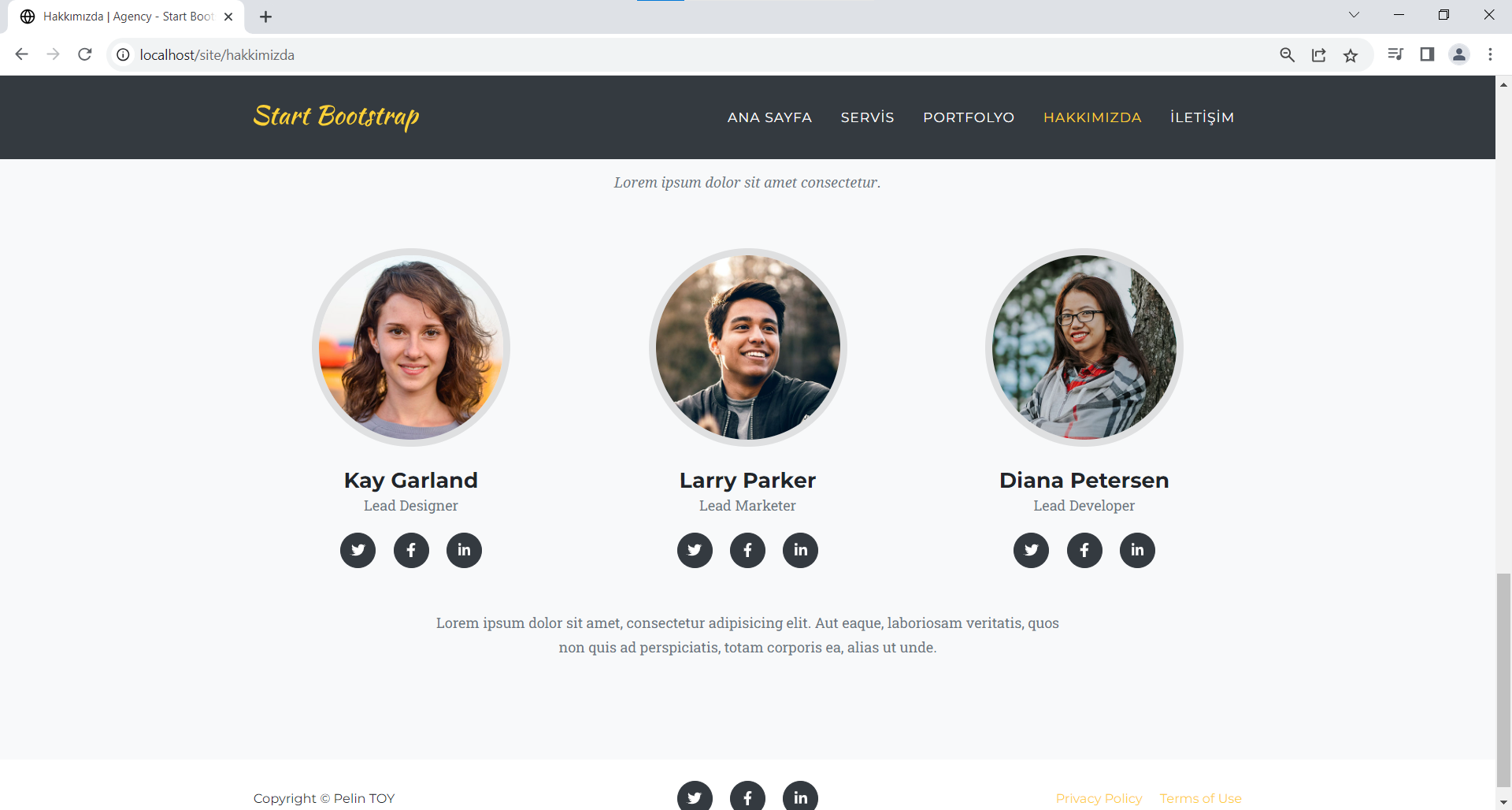 GitHub - PelinToy/Php-ile-Web-Sitesi-kurulumu: Php, PhpStorm ve MySQL ...