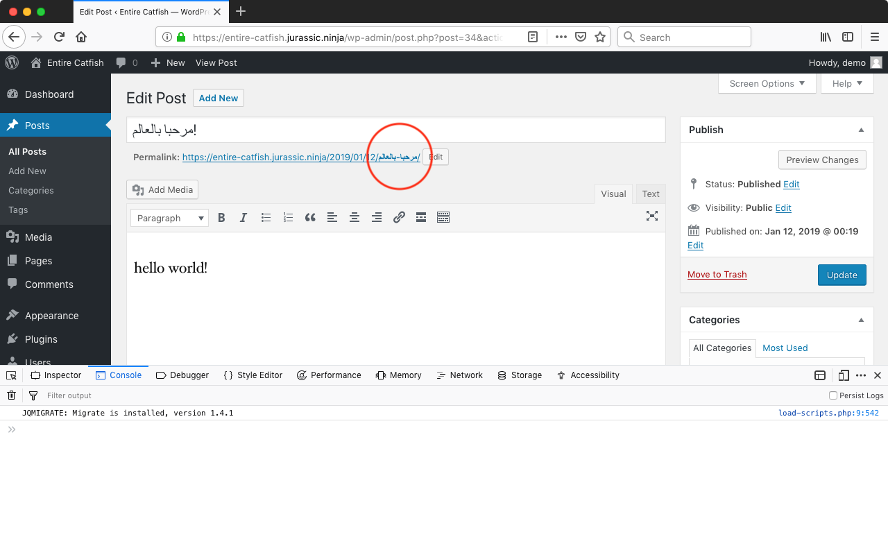 Permalinks with RTL on them, displaying their codes instead of the characters · Issue #13229 ...