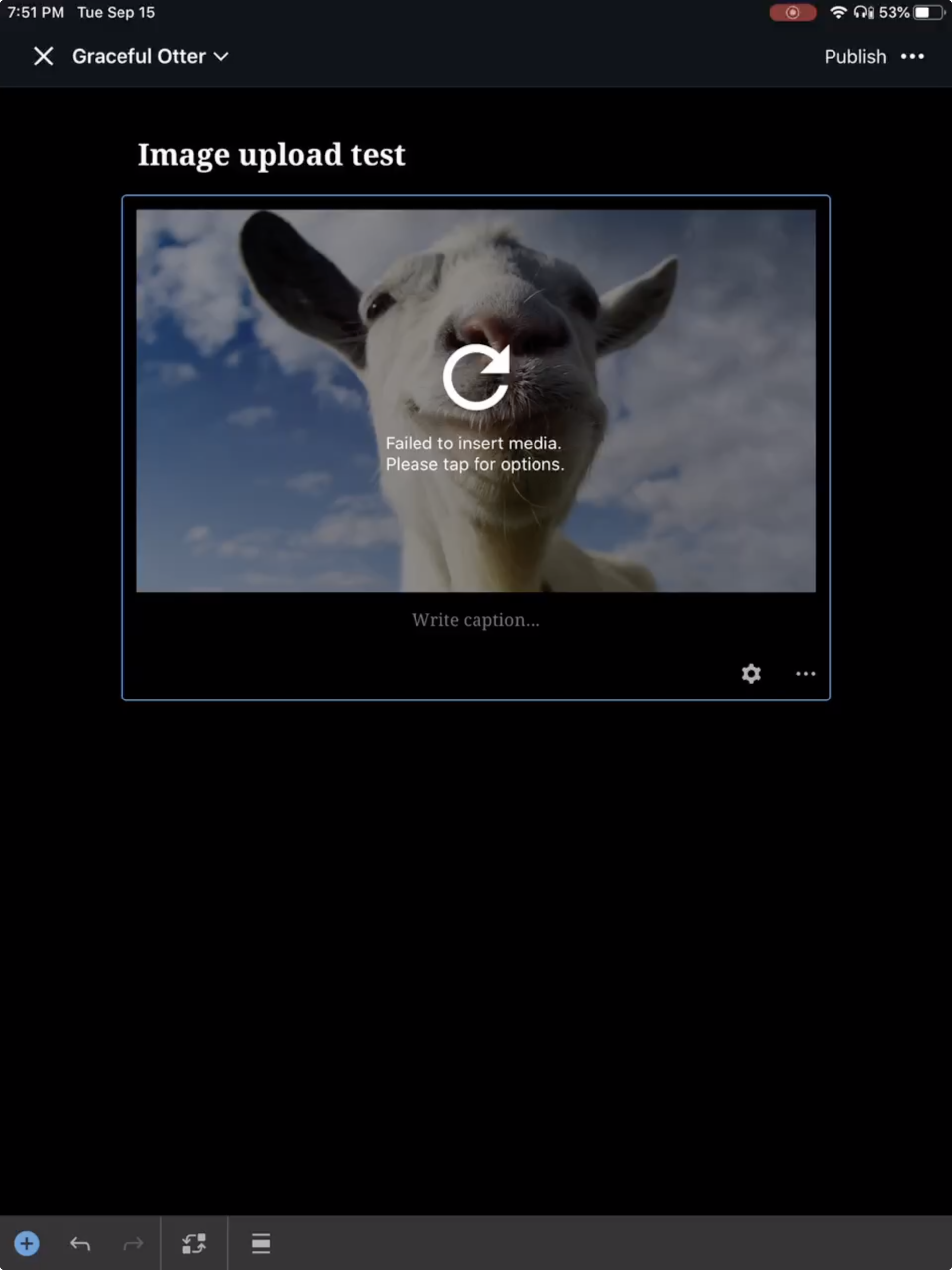 Media: image upload failure in the editor saying "Error uploading file ...