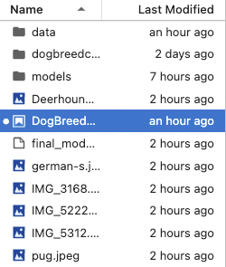 GitHub - dkaul09/dogbreedclassifier: A multiclass dog breed image ...