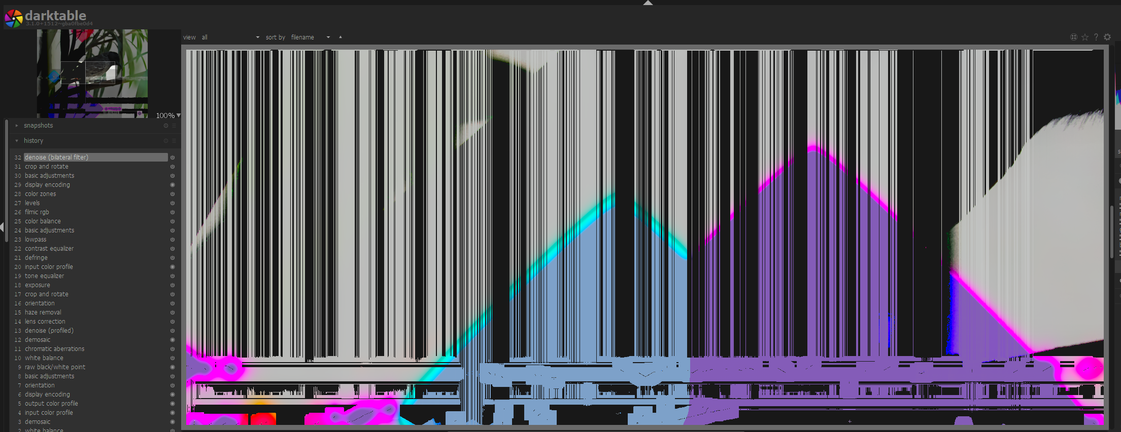 [Denoise bilateral filter] Image becomes unusable with black and grey lines · Issue #4984 ...