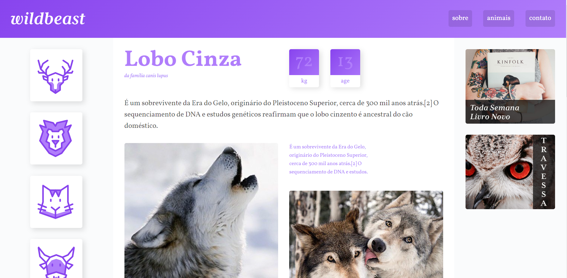 GitHub - larijek/wildbeast: Projeto desenvolvido no curso de CSS Grid na Origamid