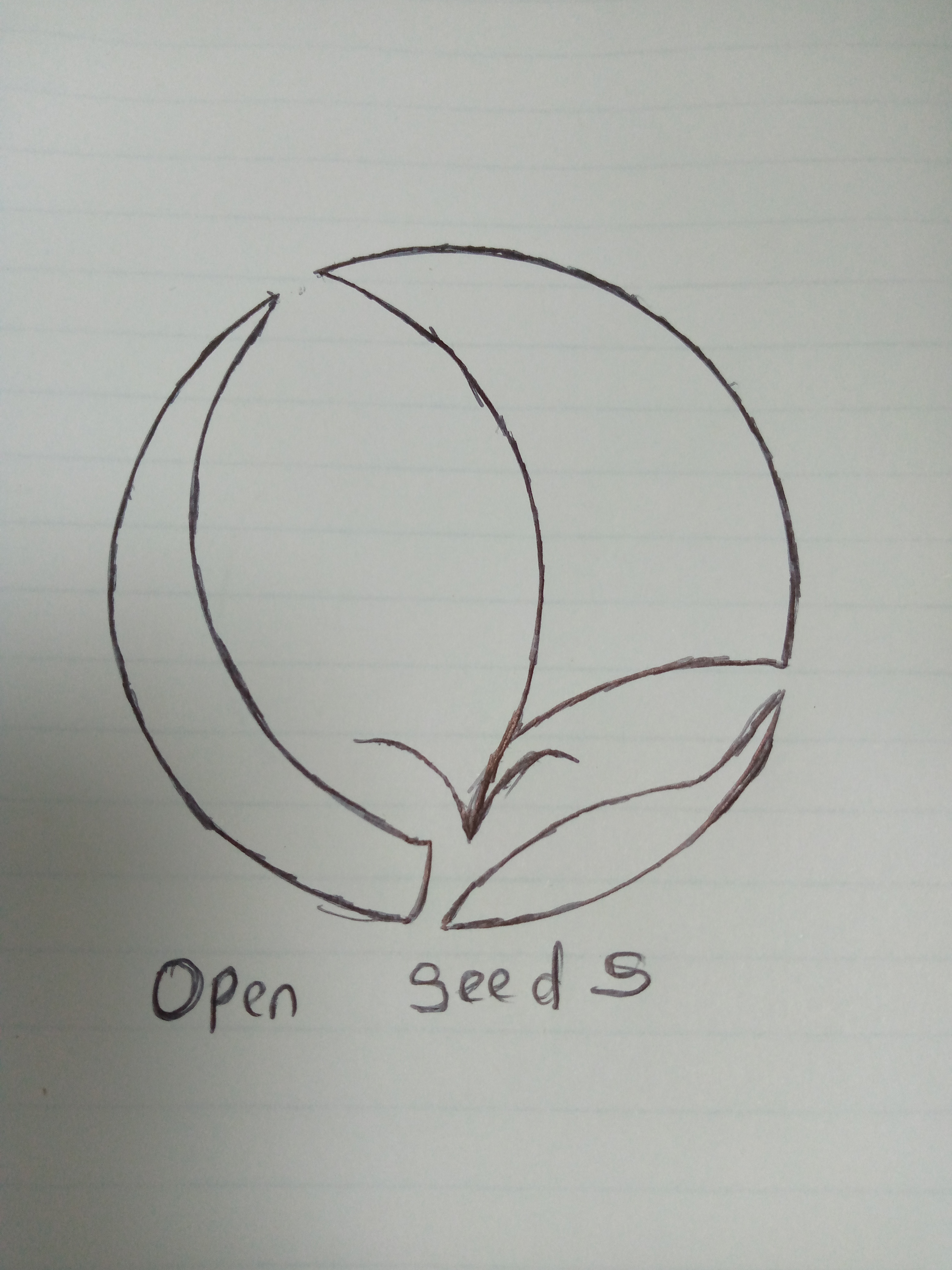 Design a logo for Open Seeds, OLS's # cohort · Issue #24 · open-life ...
