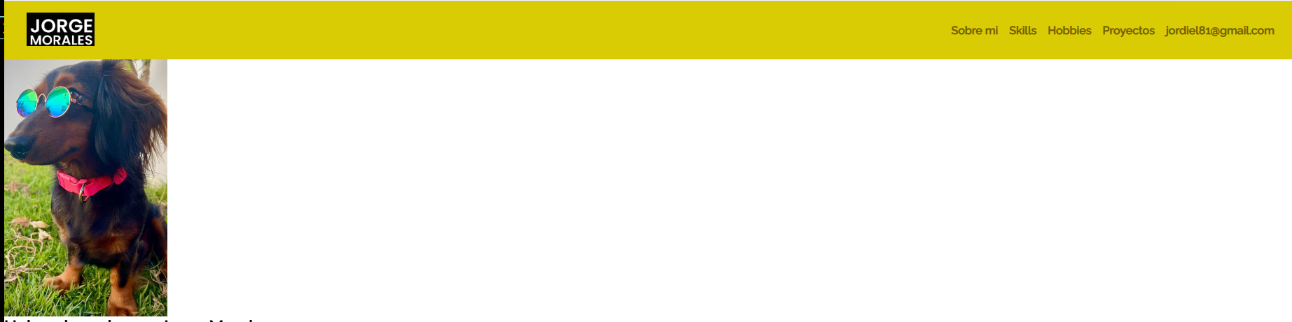 GitHub - jordiel08/challenge-one-portafolio-Jorge_Morales