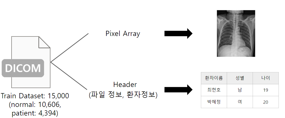GitHub - Jsonseok/Chest_X-ray_Detection