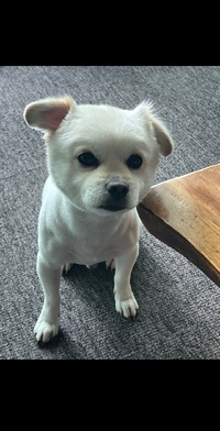 GitHub - Gyeongbin1/AIControl