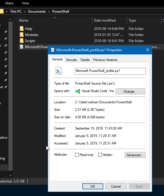 Startup of Integrated Terminal does not show cursor/prompt initially · Issue #1682 · PowerShell ...