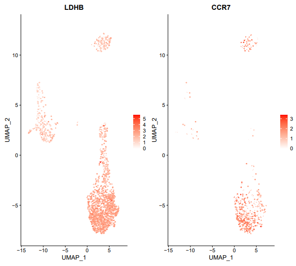 GitHub - kalyanipashine/ScRNA-seq