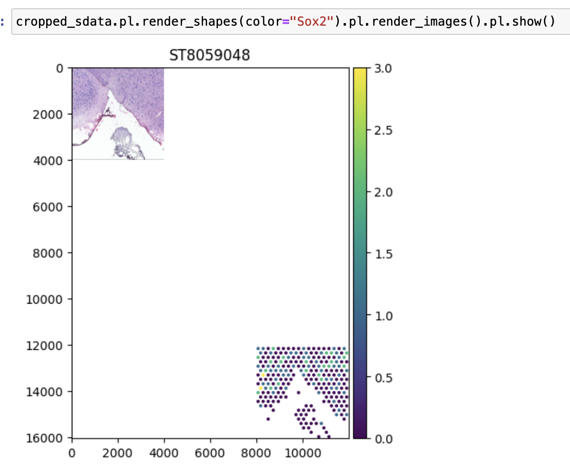 Render Images Doesn T Account For Image Translations · Issue 53 · Scverse Spatialdata Plot
