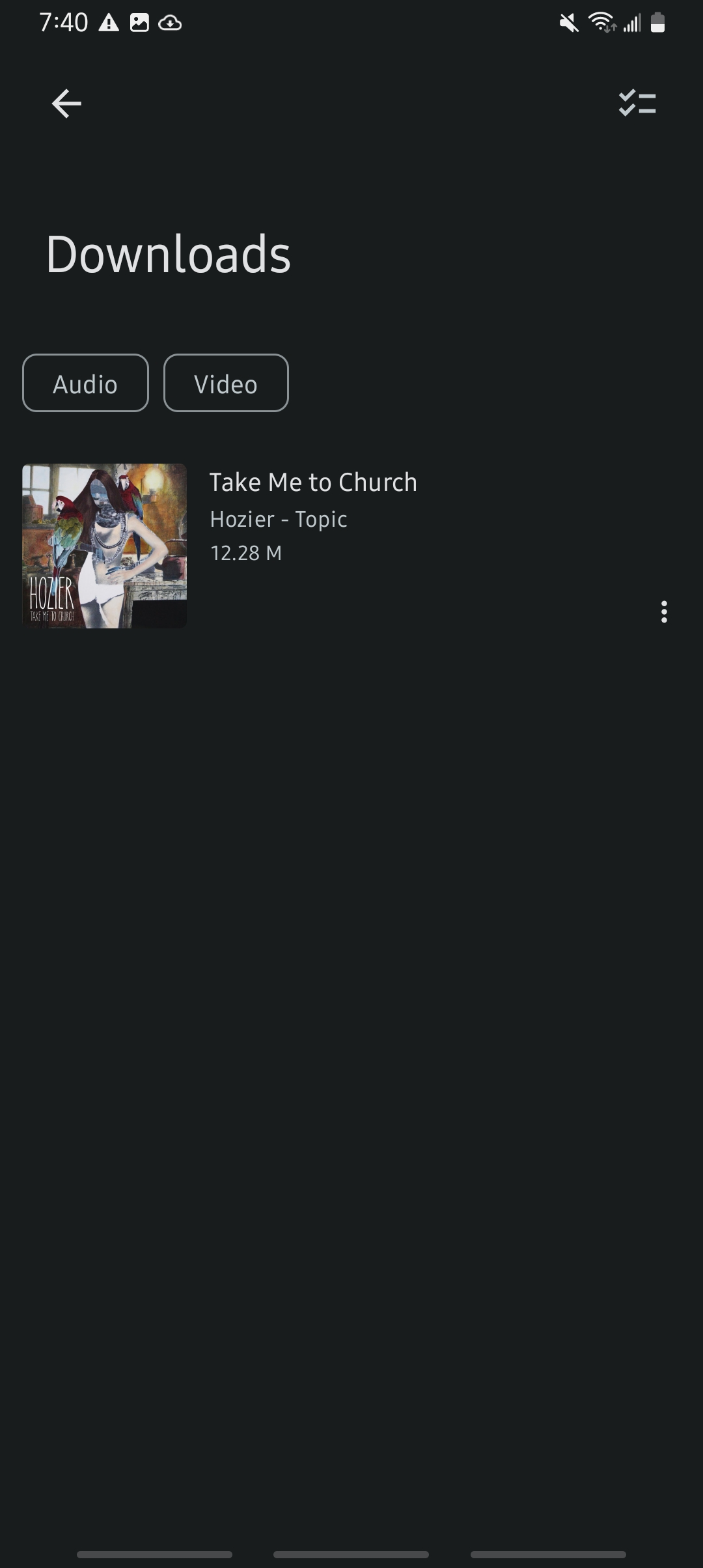 Bug Report Song Downloaded At An Impossible Bitrate · Issue 344 · Junkfood02seal · Github 