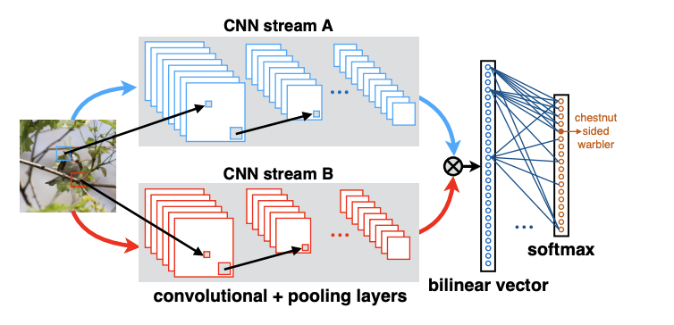 GitHub - bensalahhoussam/fine_grained_image_classification