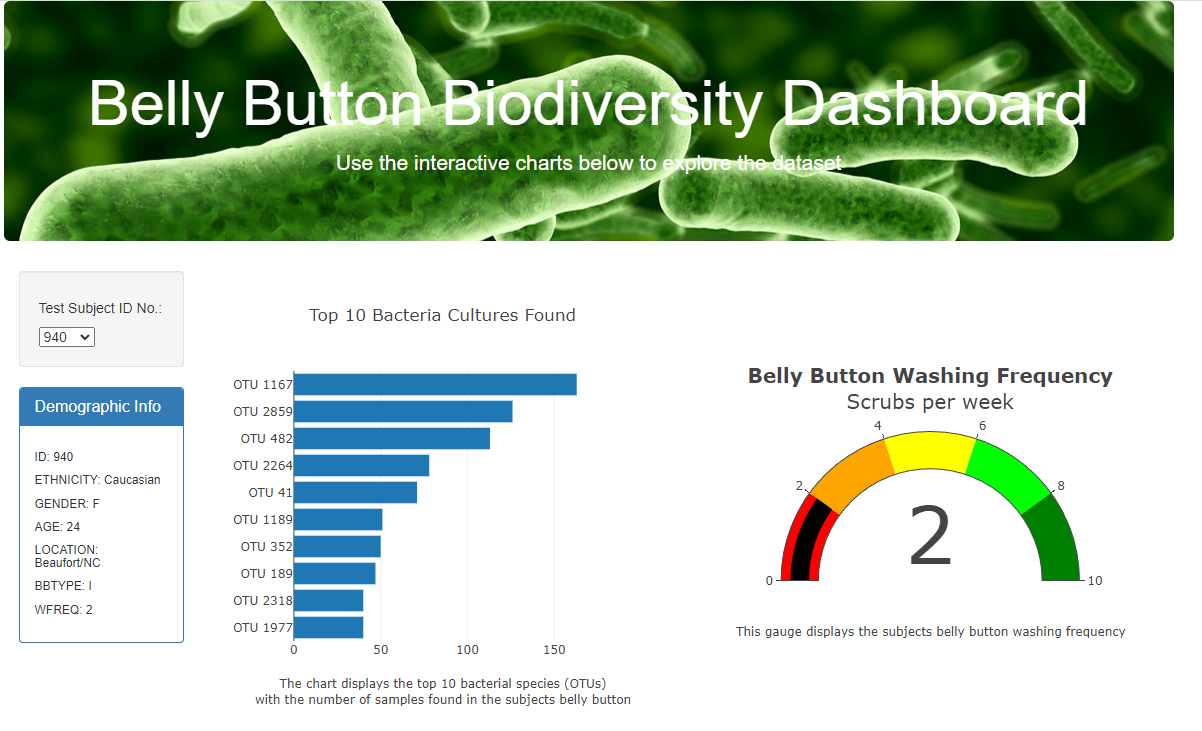 GitHub - Hollisd12/belly_button