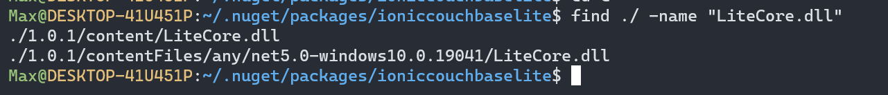 MSB3030 Could Not Copy .dll from library · Issue #2413 · microsoft/WindowsAppSDK · GitHub