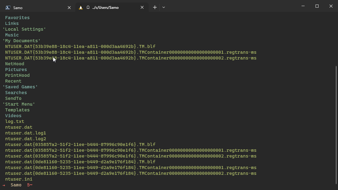 cd + tab does not change colors, setting via zsh does not work · Issue ...