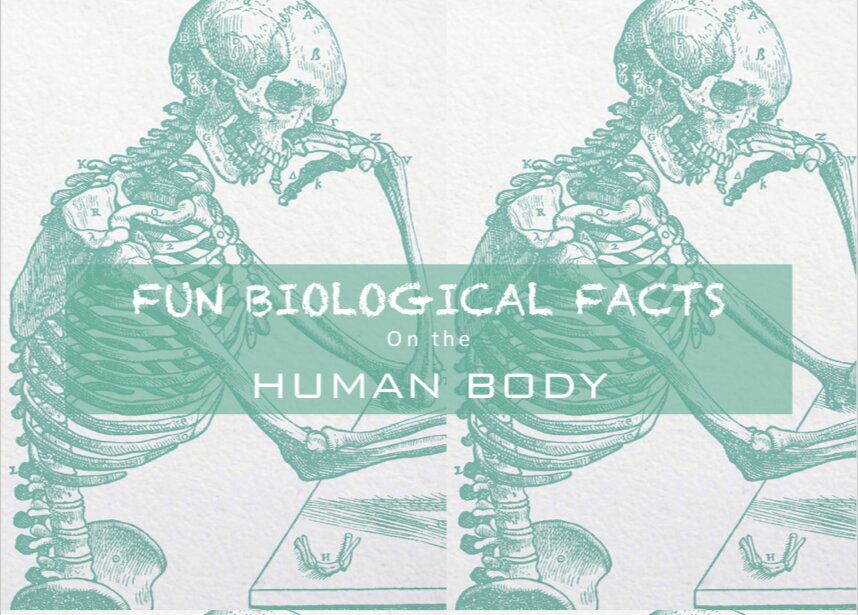 GitHub - mrsyamhfis/PowerPoint_samples