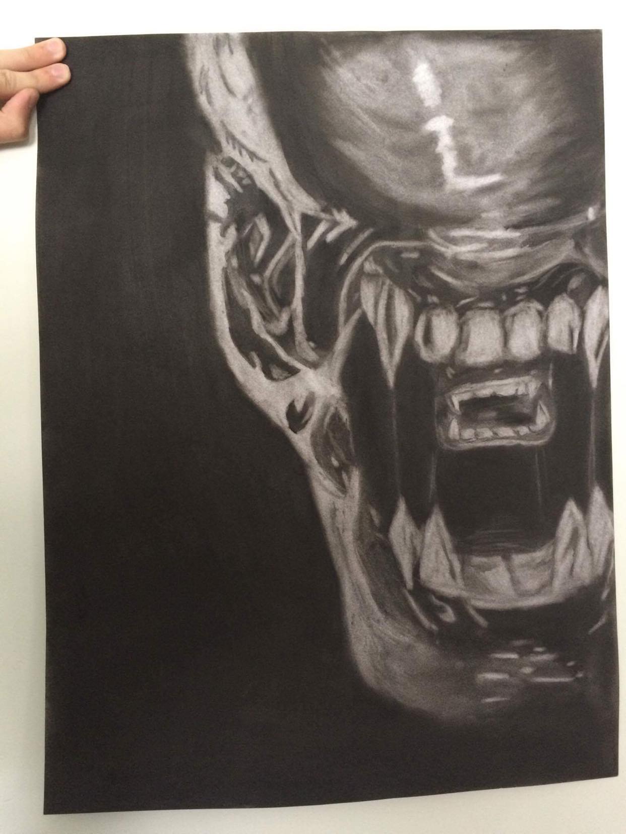 GitHub - TristanLilly/FirstWebsite: This was the first website I have made for my intro to web ...