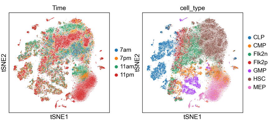GitHub - petar-antovski/HSPC-Circadian-Rhythm-Gene-Expression-Variation