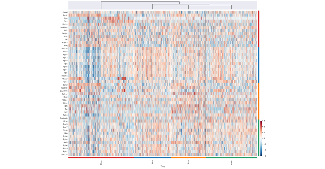 GitHub - petar-antovski/HSPC-Circadian-Rhythm-Gene-Expression-Variation