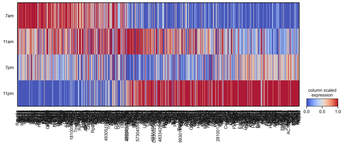 GitHub - petar-antovski/HSPC-Circadian-Rhythm-Gene-Expression-Variation