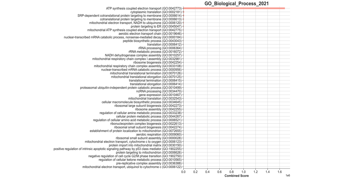 GitHub - petar-antovski/HSPC-Circadian-Rhythm-Gene-Expression-Variation