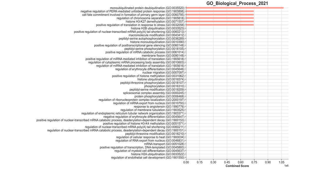 GitHub - petar-antovski/HSPC-Circadian-Rhythm-Gene-Expression-Variation