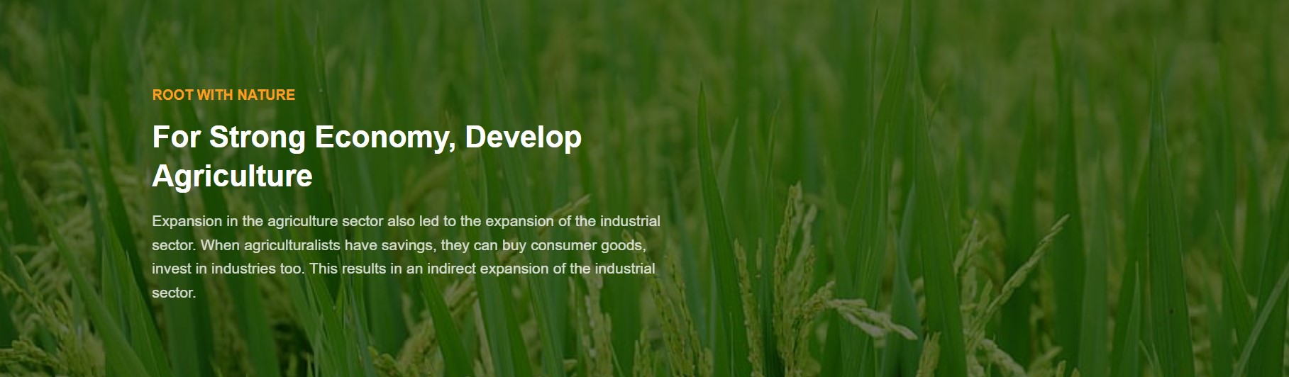 GitHub - BOMMIDI-LOKESH/Agrowform