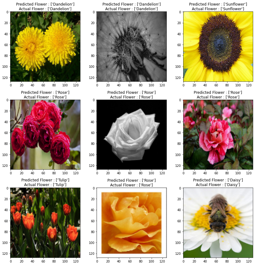 Github Kondamanishkumarcnn Flower Recognition And Prediction This Project Implements The Cnn 