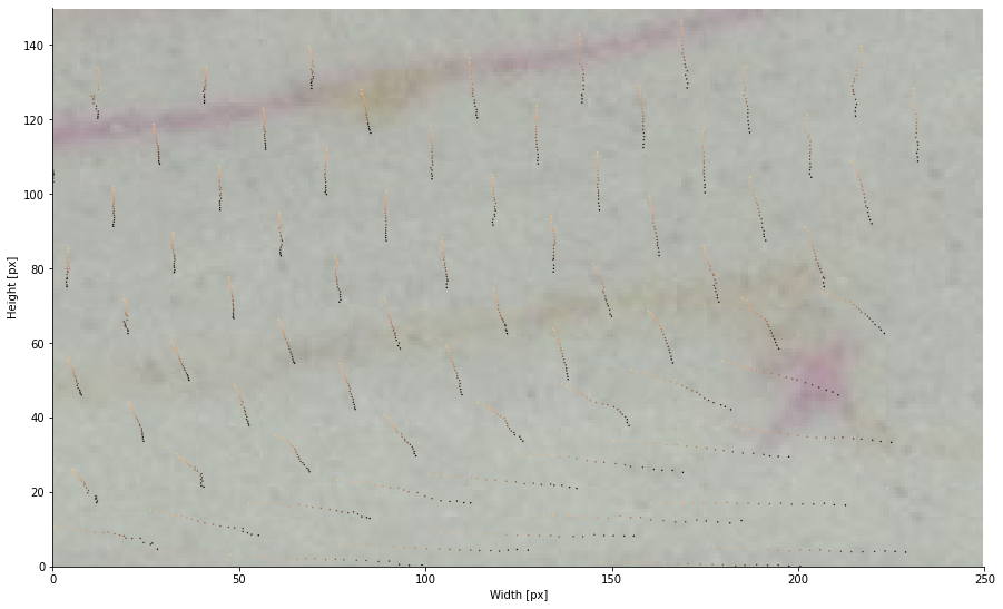 GitHub - phialahydrite/sptv_code: Code used to generate synthetic particle tracks using PIV ...