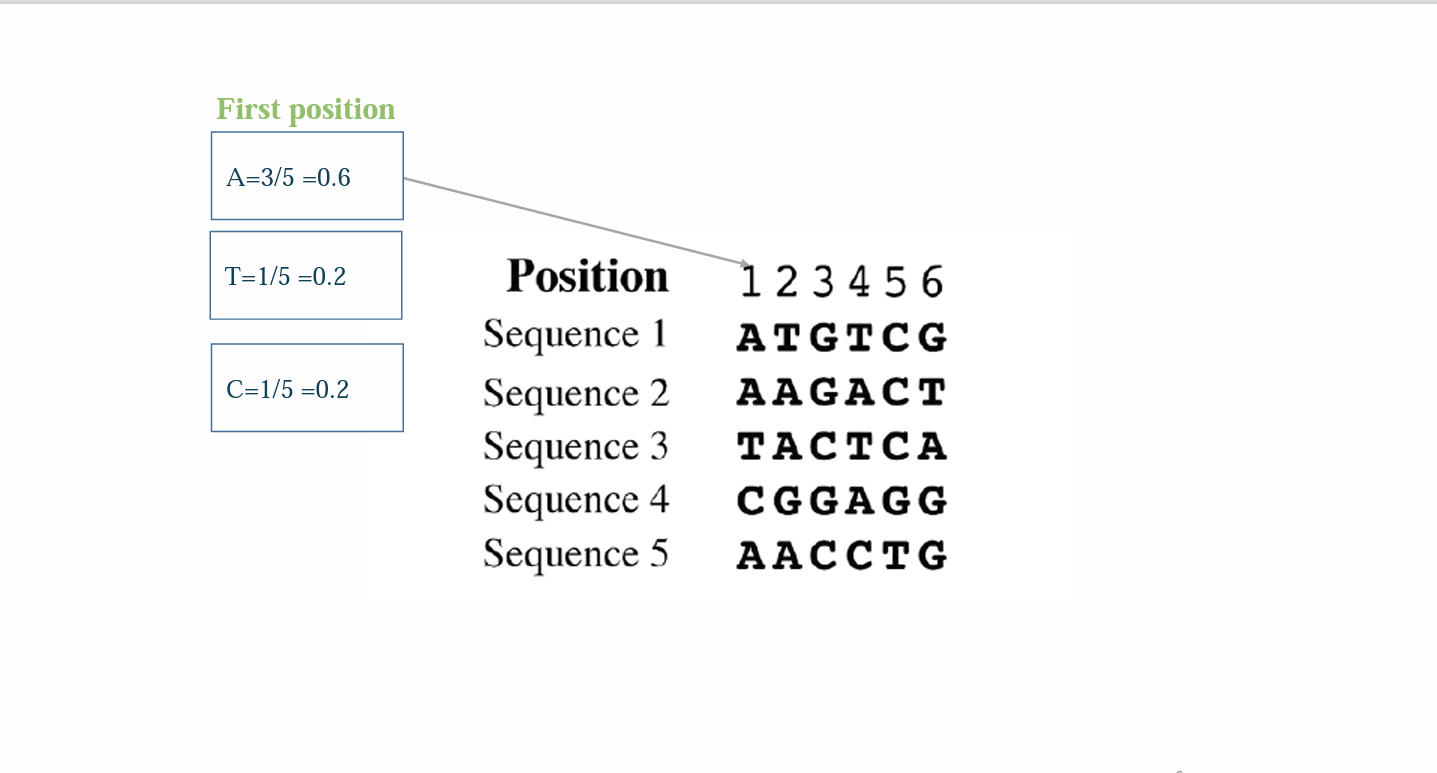 Github Sarah Hesham 2022 Computational Biology Position Specific Scoring Matrices