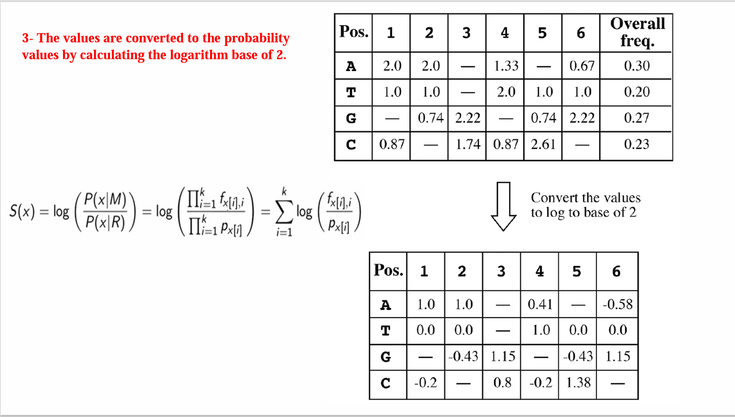 Github Sarah Hesham 2022 Computational Biology Position Specific Scoring Matrices