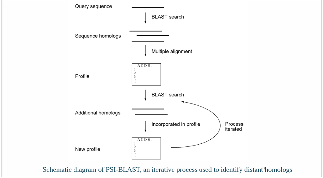 GitHub - Sarah-Hesham-2022/Computational-Biology-Position-Specific-Scoring-Matrices ...