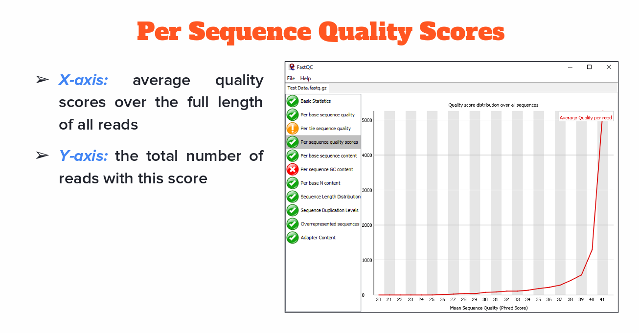 GitHub - Sarah-Hesham-2022/FASTQ_Files_Analysis: Data Analysis for ...