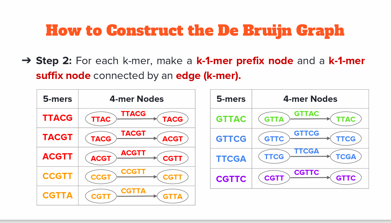 GitHub - Sarah-Hesham-2022/De-Bruijn-Graph-for-Genome-Assembly: Data ...