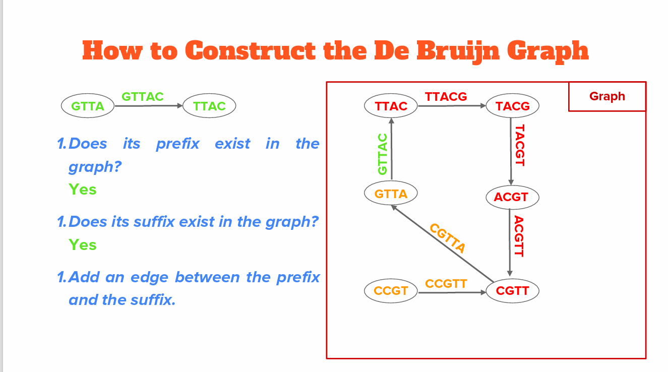 GitHub - Sarah-Hesham-2022/De-Bruijn-Graph-for-Genome-Assembly: Data ...