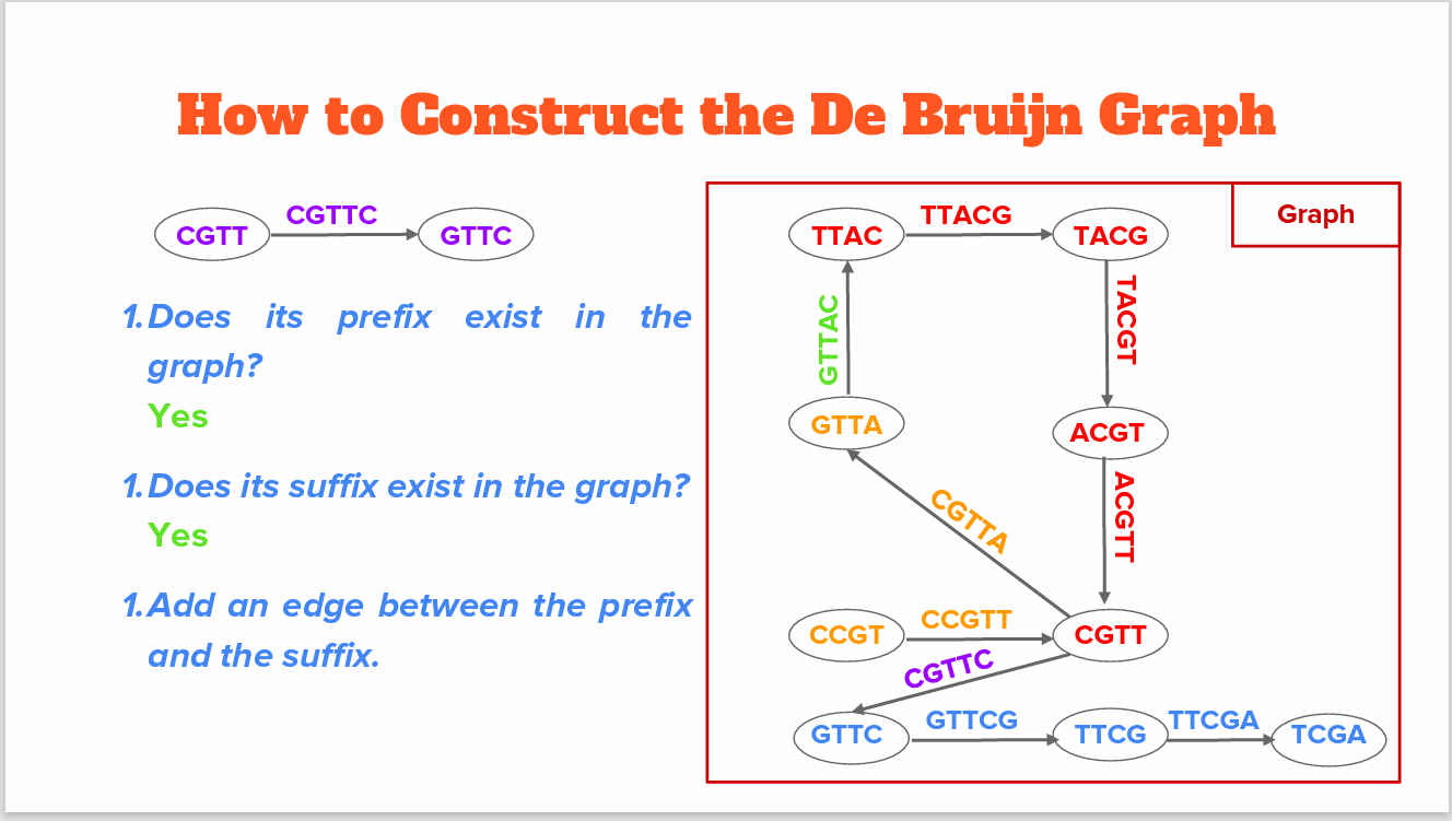 GitHub - Sarah-Hesham-2022/De-Bruijn-Graph-for-Genome-Assembly: Data ...